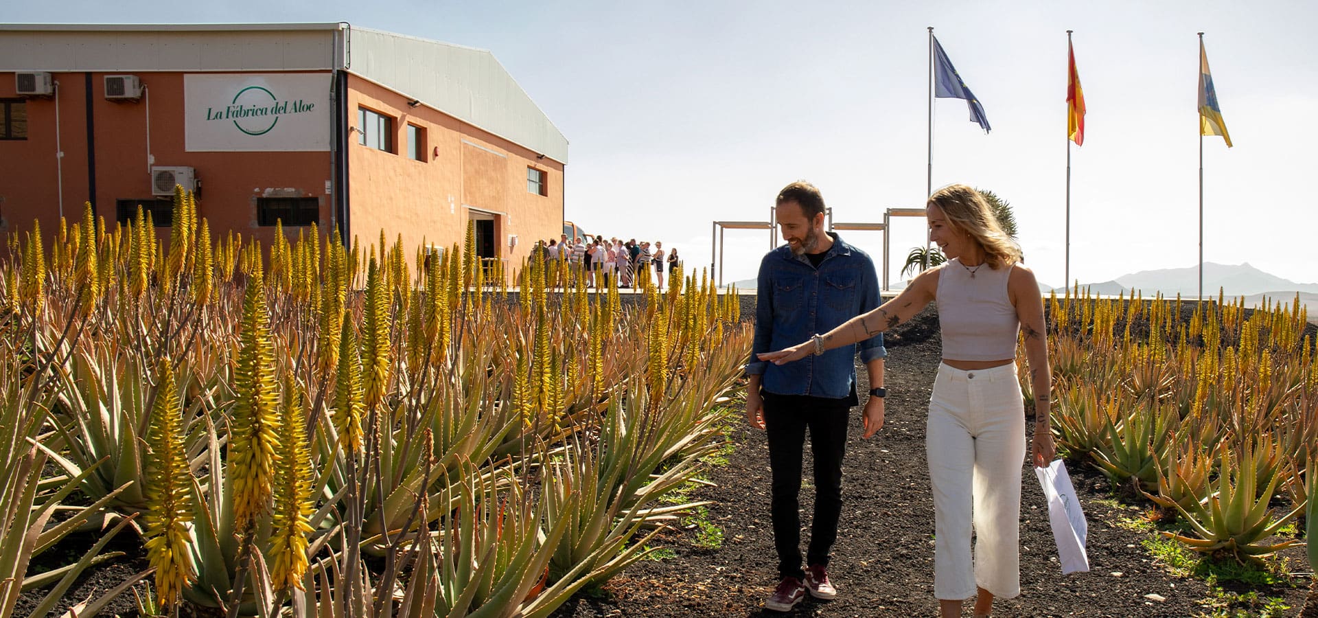 Aloe Vera Exclusive | Pure Aloe Vera from Canary Islands